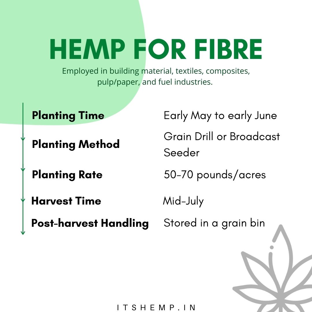 How Many Products Can Hemp Make? | Engineering Of Hemp | ItsHemp