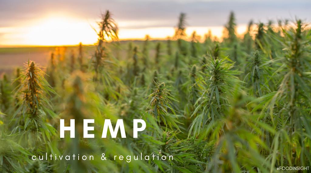 Hemp Legalisation Madhya Pradesh Uttar Pradesh 2019 | India’s Next Step